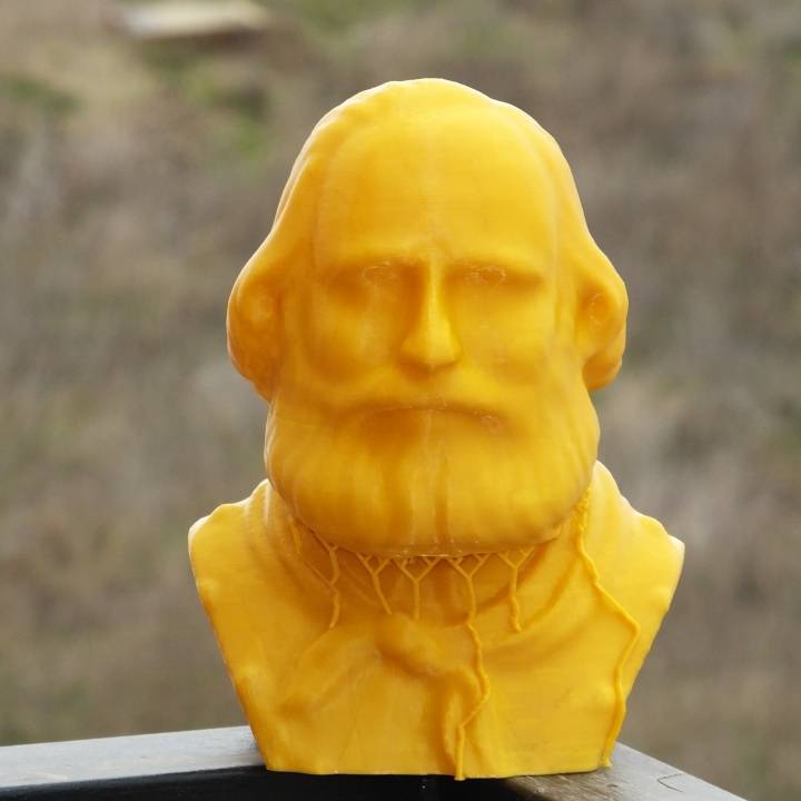 3D Printable Garibaldi Bust by Vittorio Paolo Fasciani
