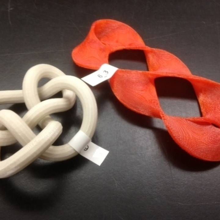 3D Printable Seifert Surface for Knot 6_3 by mathgrrl
