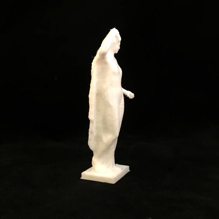 3D Printable Statue of Venus at The State Hermitage Museum, St ...