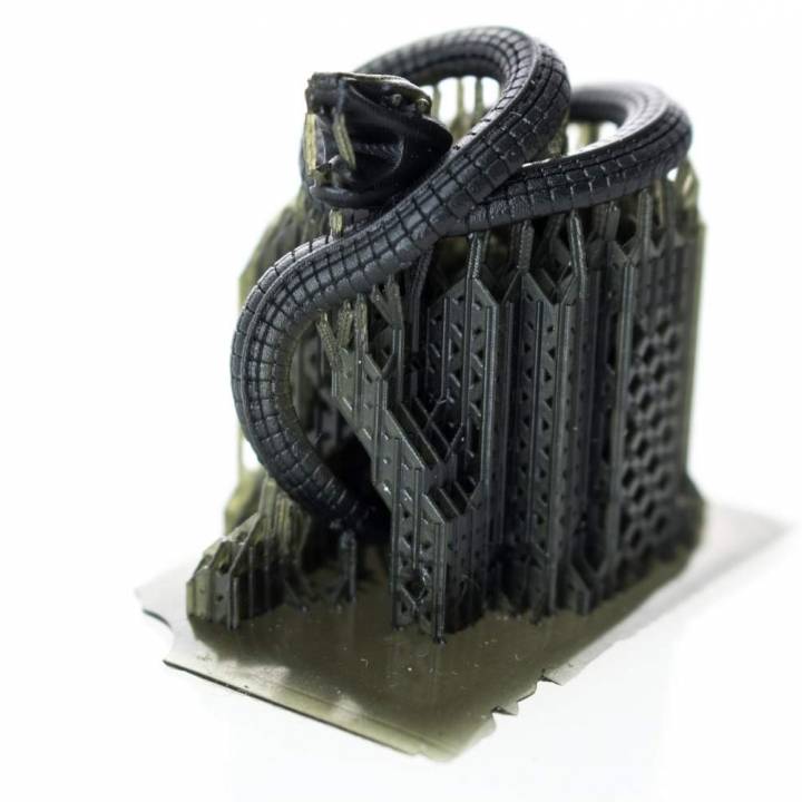 3D Printable orm ring by Poignie Frédéric