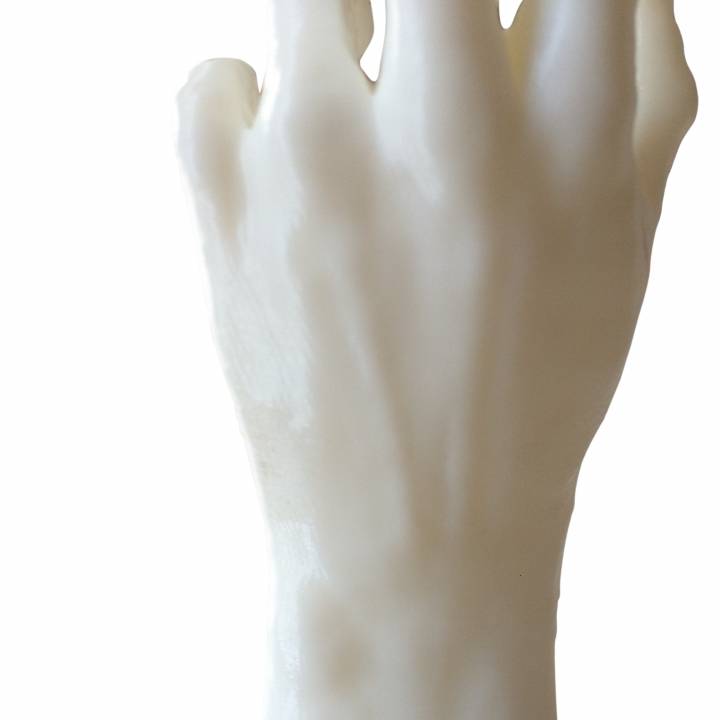 3D Printable hand by Stefano Meneghelli