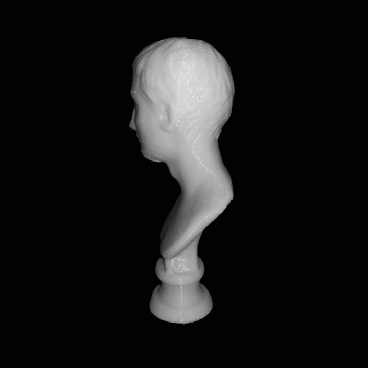 3D Printable Bust of Menander at The State Hermitage Museum, St ...