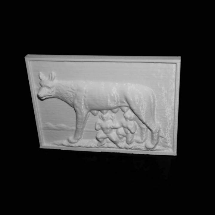 3D Printable Capitoline Wolf Bas-Relief in Deva, Romania by Alban Pllana