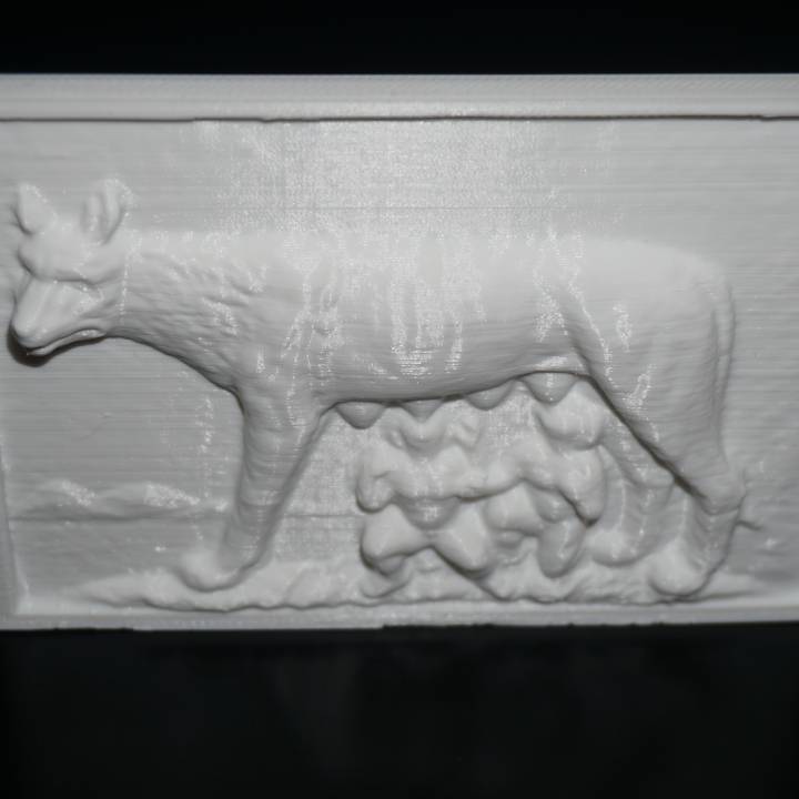 3D Printable Capitoline Wolf Bas-Relief in Deva, Romania by Alban Pllana