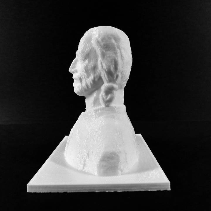 3D Printable Bust of Marcu Giurgiu Crisan in Deva, Romania by Scan The ...