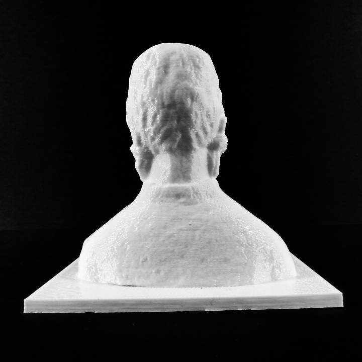 3D Printable Bust of Marcu Giurgiu Crisan in Deva, Romania by Scan The ...