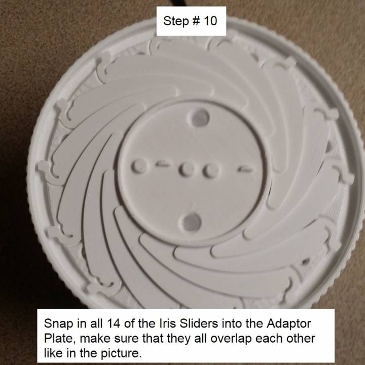 3D Printable Pebble display case with Iris opening. by Matthew Davis