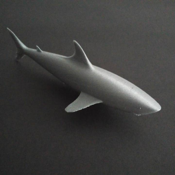 3D Printable Shark by MBot Printer
