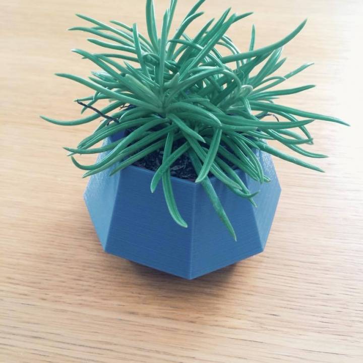 3D Printable Geometric planter by Lars