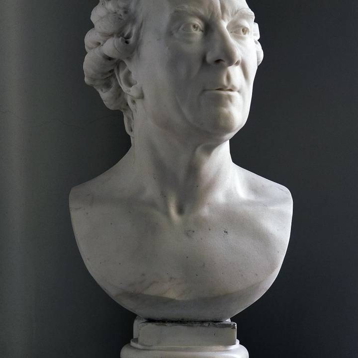 3D Printable Bust of the Count of Buffon at The State Hermitage Museum ...