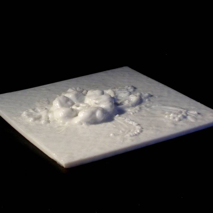 3D Printable Small Flower Painting - Eugenia Perdue by Scan The World