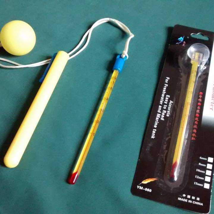 3D Printable Swimming Thermometer Float by J R Cresser