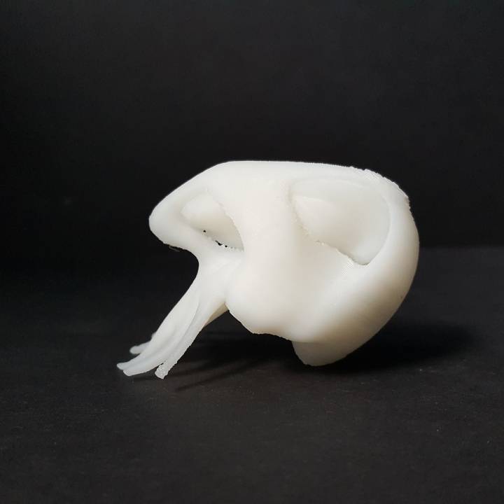 3D Printable Alien Squid Skull by Andrew Reynolds