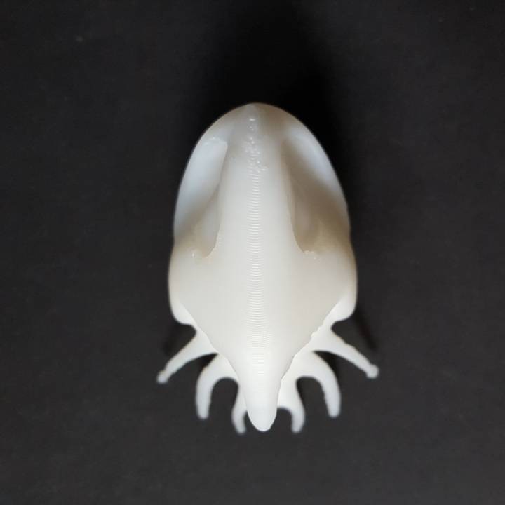 3D Printable Alien Squid Skull by Andrew Reynolds