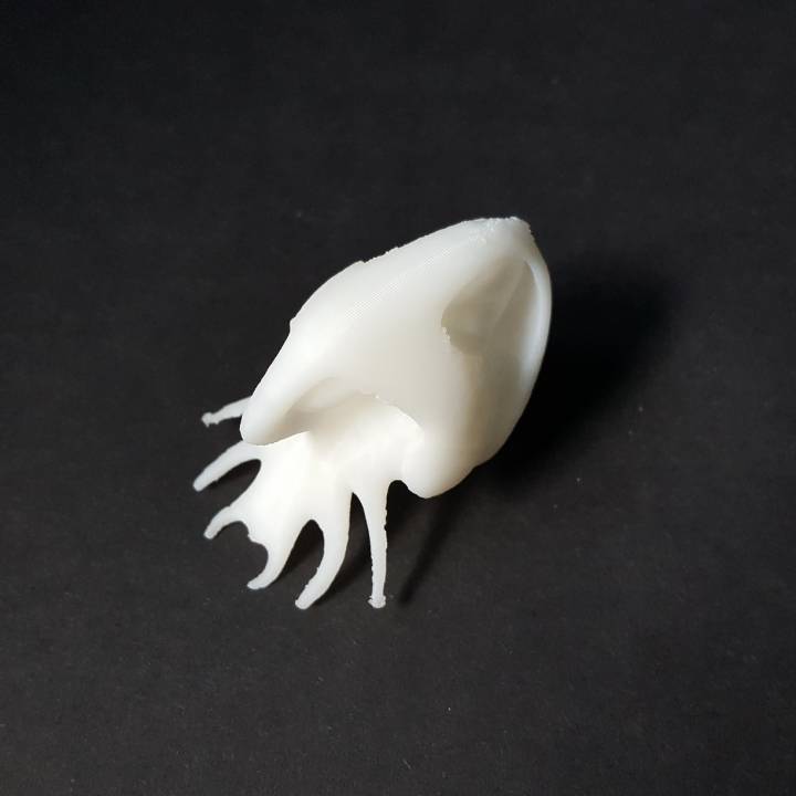 3D Printable Alien Squid Skull by Andrew Reynolds
