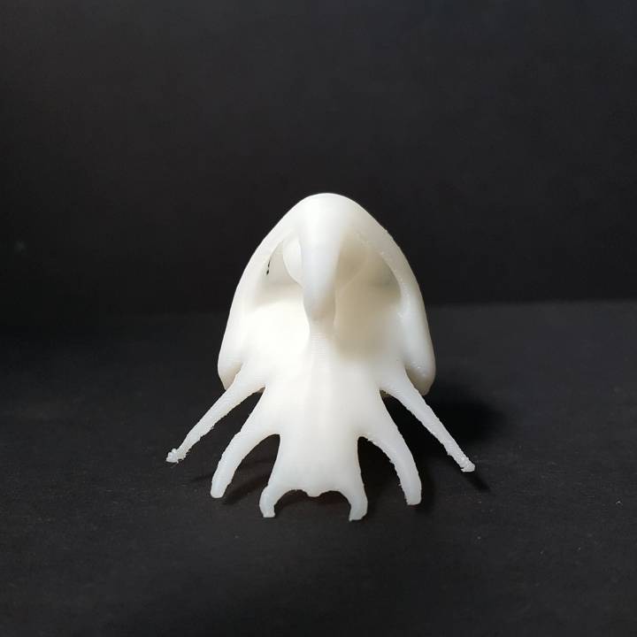 3D Printable Alien Squid Skull by Andrew Reynolds