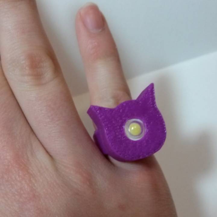 3D Printable Light-up Cat Ring! by 3D Central