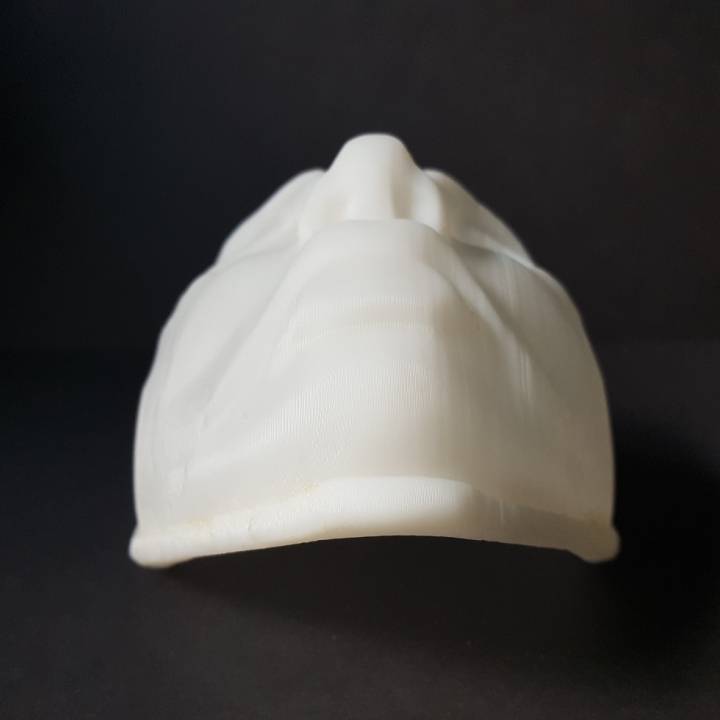 3D Printable Payday 2 Clover Mask by Peter Szoke