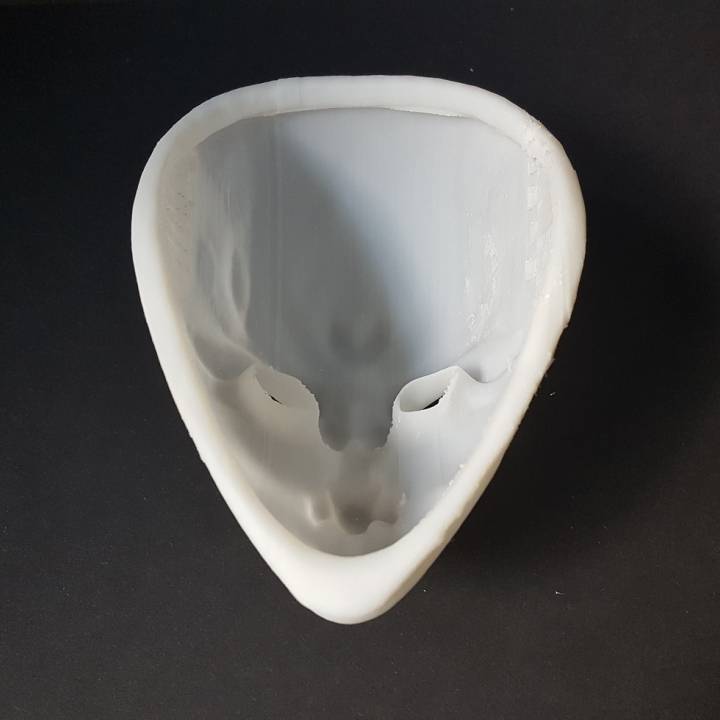 3D Printable Payday 2 Clover Mask by Peter Szoke