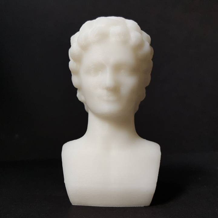 3D Printable Two-Faced Janus at The State Hermitage Museum, St ...