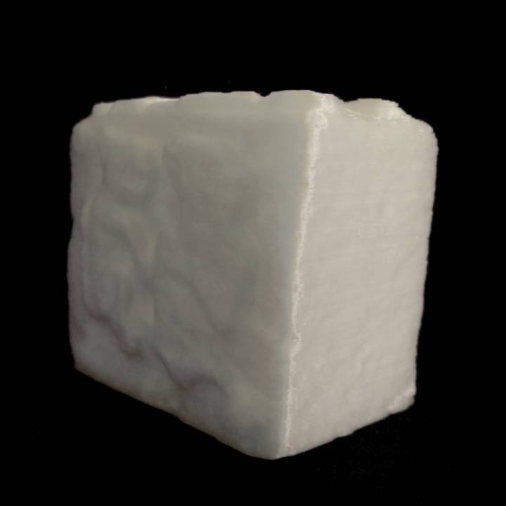3D Printable Stone block with confronting eagle and jaguar and glyph ...
