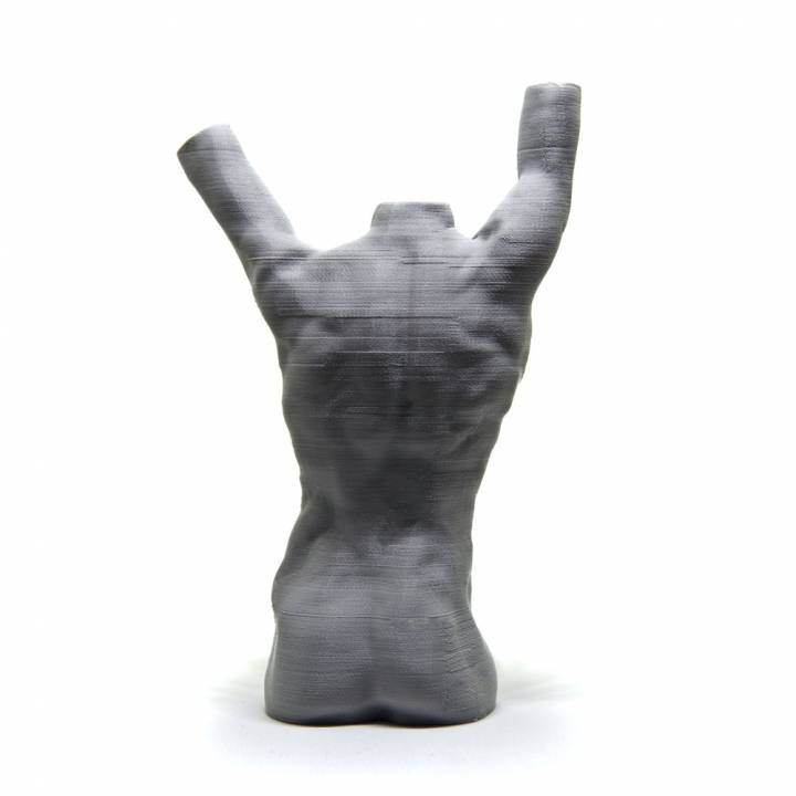 3D Printable Torso Study Sculpture by Francesco Marchioro