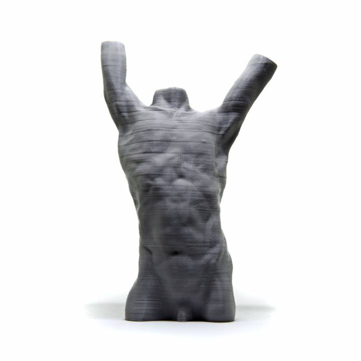 3D Printable Torso Study Sculpture by Francesco Marchioro