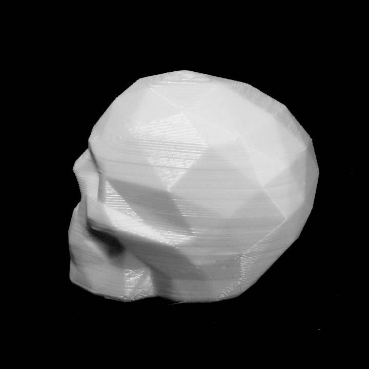 3D Printable Low Poly Skull (1) by Steve Dakh