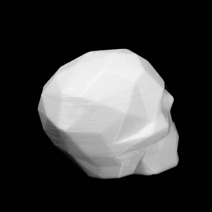 3D Printable Low Poly Skull (1) by Steve Dakh