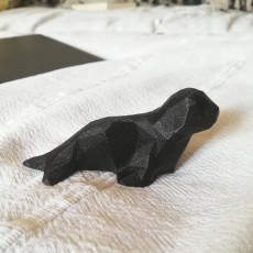 3D Printable Low Poly Seal by Steve Dakh