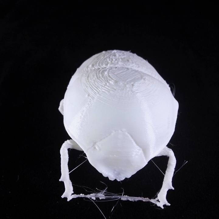 3D Printable Bug by Scan The World