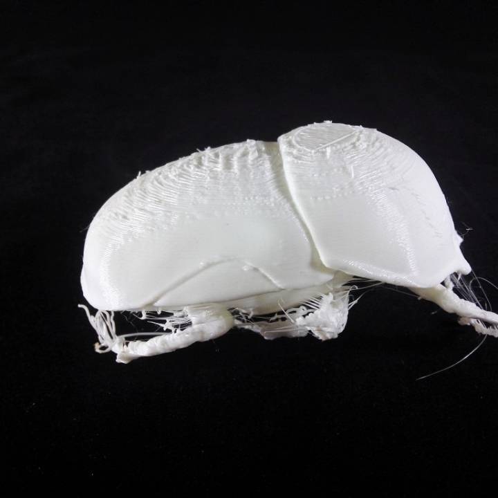 3D Printable Bug by Scan The World
