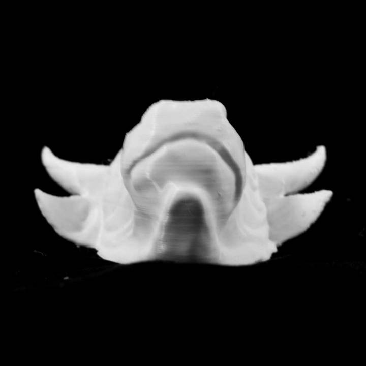 3D Printable Cow Head at The Islington Museum, London by Scan The World