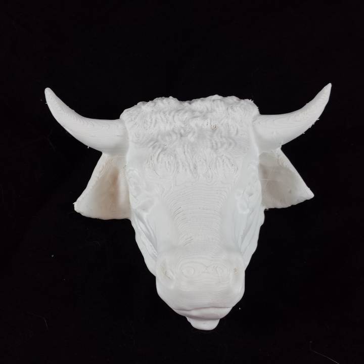 3D Printable Cow Head at The Islington Museum, London by Scan The World