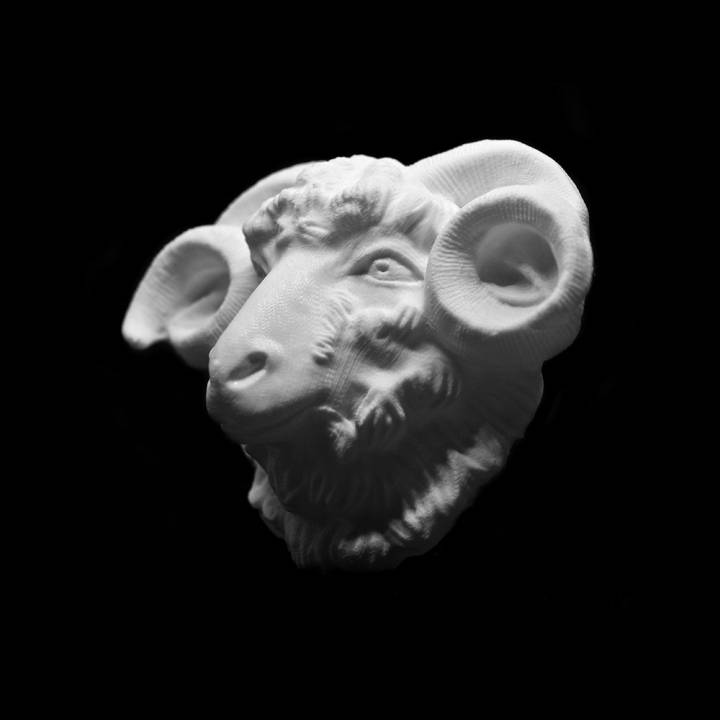 3D Printable Ram Head at The Islington Museum, London by Scan The World