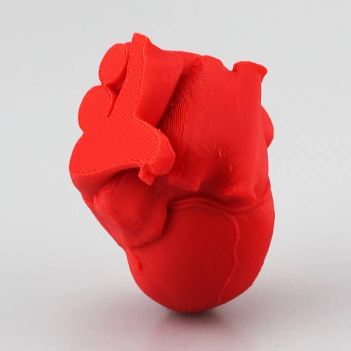 3D Printable Heart by Dang Thuy