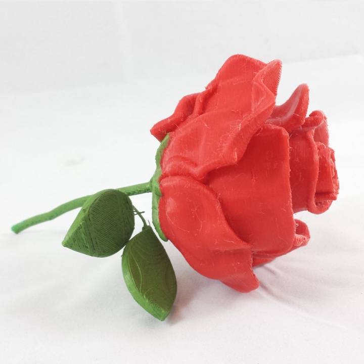 3D Printable Roses by Tanya Wiesner