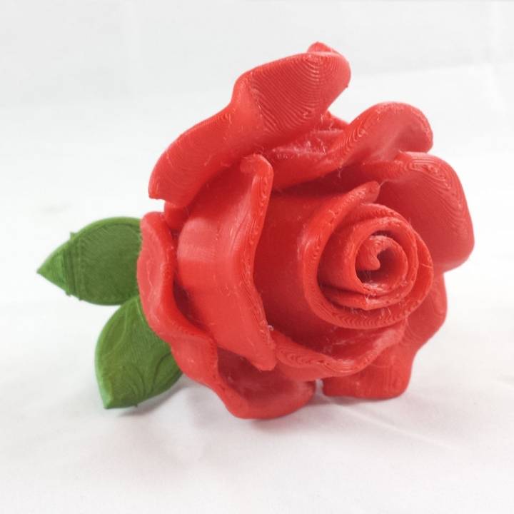3D Printable Roses by Tanya Wiesner