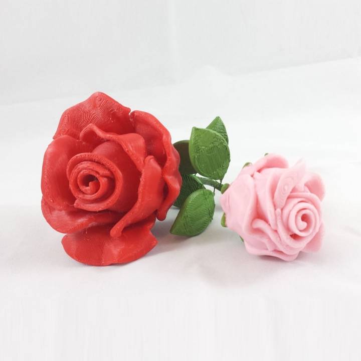 3D Printable Roses by Tanya Wiesner