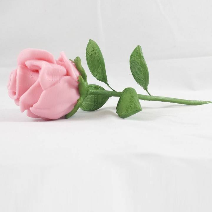 3D Printable Roses by Tanya Wiesner