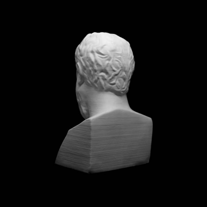 3D Printable Herm of Plato at The Faculty of Classics, Cambridge by ...