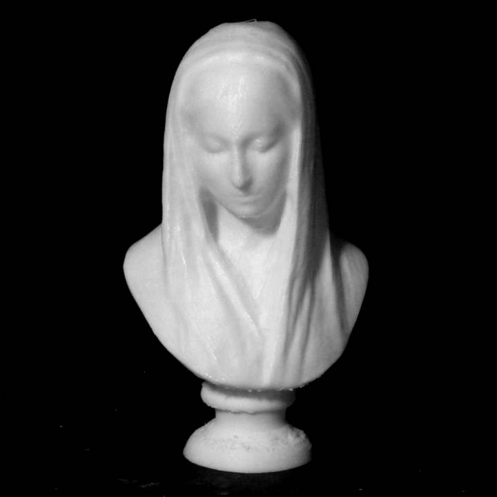 3D Printable Modesty at The Musée des Beaux-Arts, Lyon by Scan The World