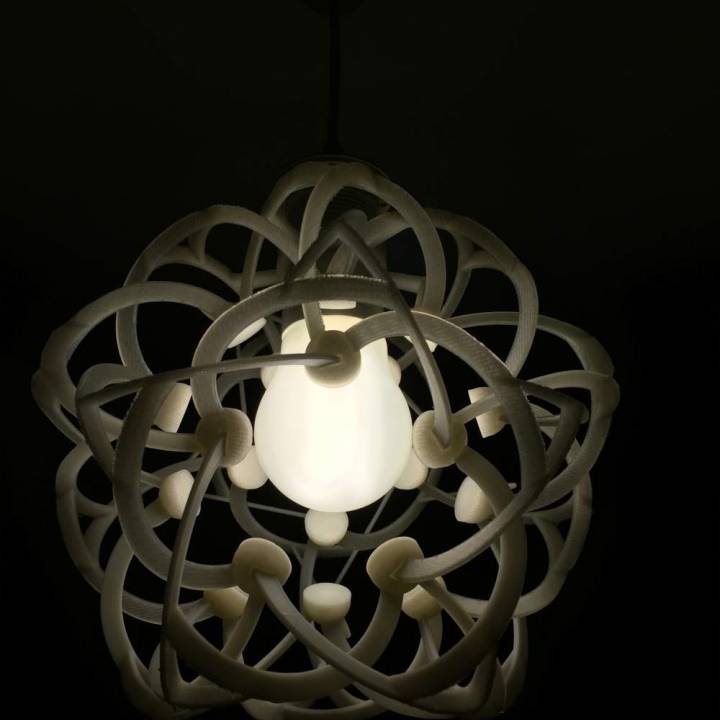 3D Printable Lamp shade by Herwig Van Marck