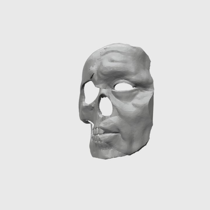 3D Printable Decay Mask by John Adrian