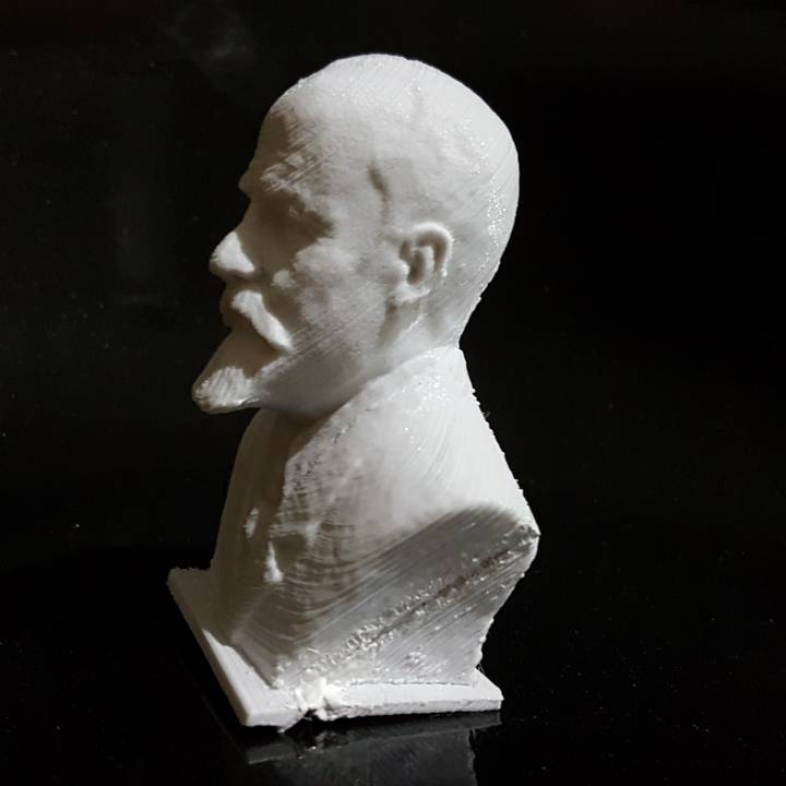 3D Printable Dr Ibrahim Temo bust by Scan The World