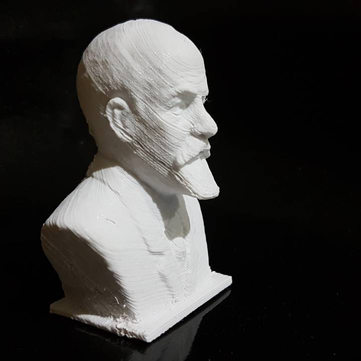 3D Printable Dr Ibrahim Temo bust by Scan The World