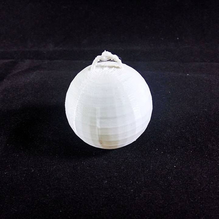 3D Printable watch dogs by Aidan Pertroshus