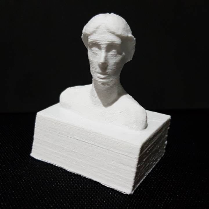 3D Printable Virginia Woolf bust by Thomas Flynn