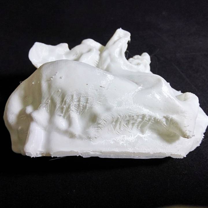 3D Printable Capital with Dragon by Scan The World