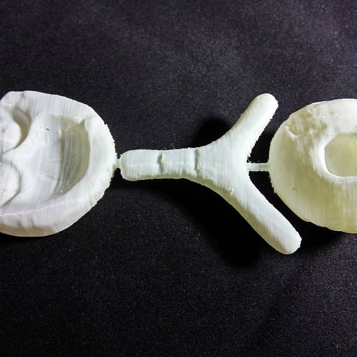 3D Printable Female Torso by Scan The World
